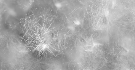 Understanding Fill Power (2025) - Mattress Clarity