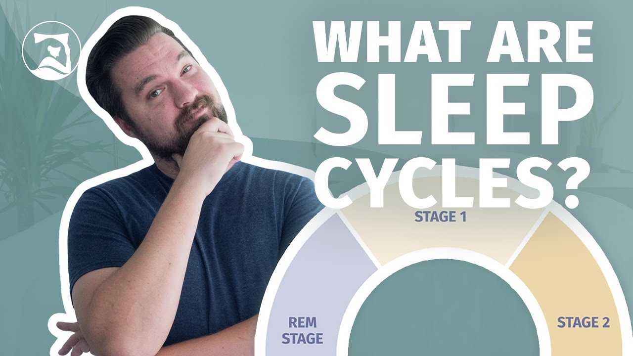 The Complete Guide To Your Sleep Cycle - Mattress Clarity