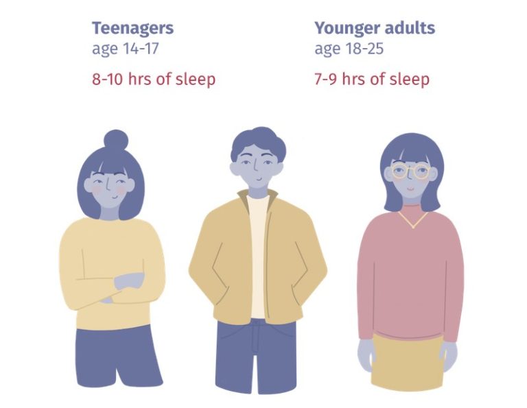 The Complete Guide to Your Sleep Cycle (2025) - Mattress Clarity