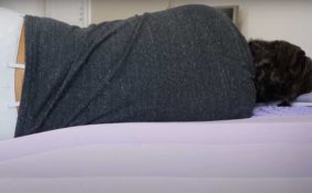 Purple Mattress Review (2024) | Mattress Clarity