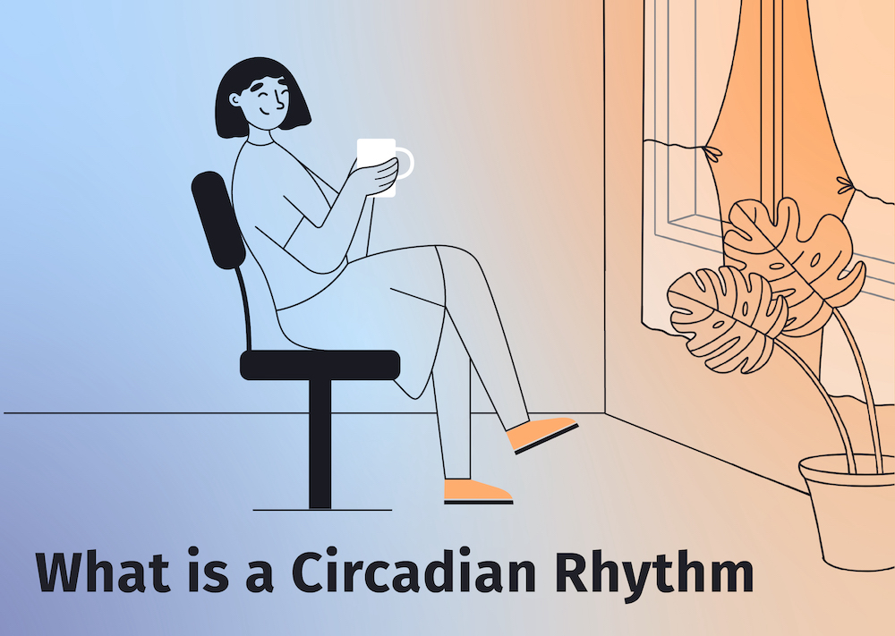 The Ultimate Guide to Your Circadian Rhythm (2025) - Mattress Clarity