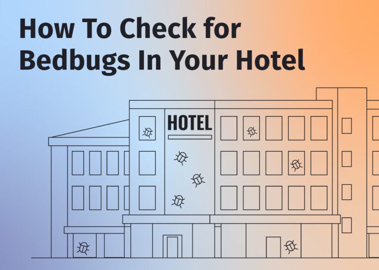 How to Avoid Bed Bugs in Hotels (2024) - Mattress Clarity